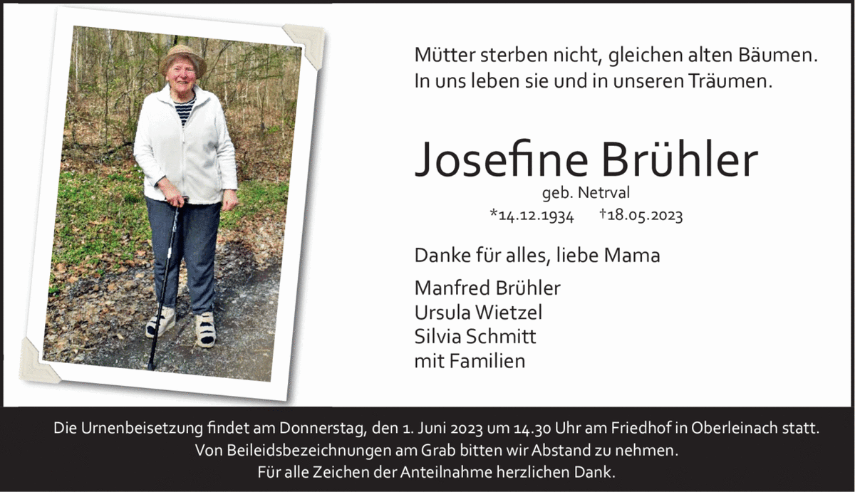 Mütter sterben nicht, gleichen alten Bäumen